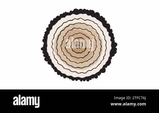 Cross section of the tree with age rings motion graphic animation ...