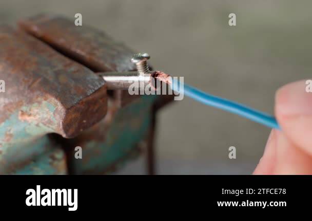 The hand inserts a copper wire in a blue braid inserts into the contact ...