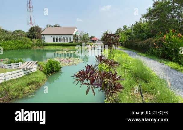 English style cafe Stock Videos & Footage - HD and 4K Video Clips - Alamy