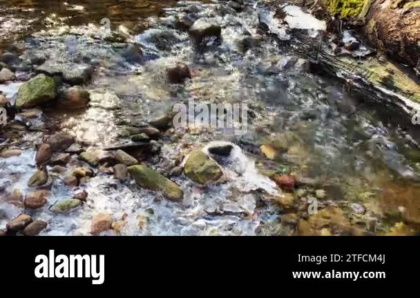 Rocky bottom of the spring with crystal clear water. The most famous ...