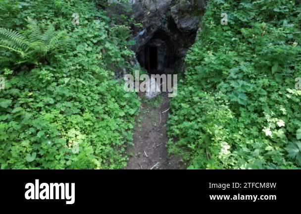 Hidden entrance to the cave among green grass and bushes. Mountainous ...