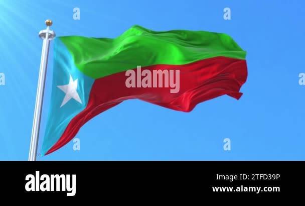 Arab liberation flag Stock Videos & Footage - HD and 4K Video Clips - Alamy