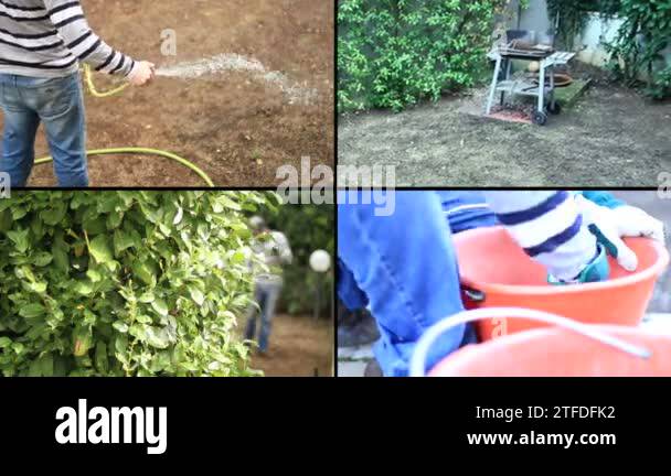 Man sowing seed Stock Videos & Footage - HD and 4K Video Clips - Alamy