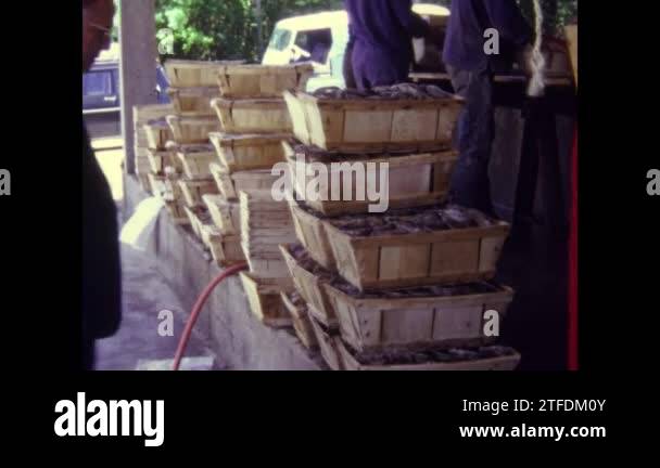 70s farming Stock Videos & Footage - HD and 4K Video Clips - Alamy