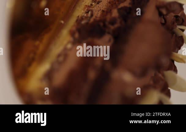 Presentation cake Stock Videos & Footage - HD and 4K Video Clips - Alamy