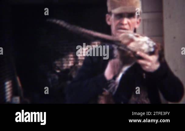 Hunting man Stock Videos & Footage - HD and 4K Video Clips - Alamy