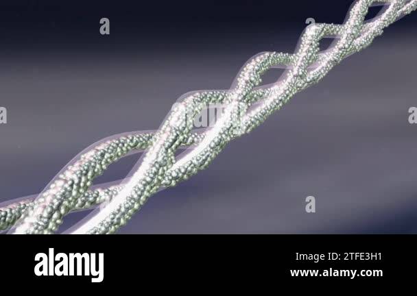 Collagen triple helix molecule. 3D model of the gene structure of amino ...