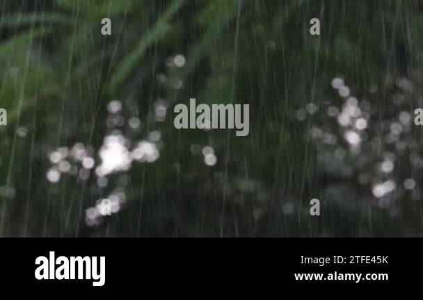 Close-up footage of defocused Rain water pouring down due to cyclonic ...