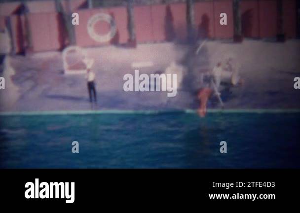 Fire dolphin Stock Videos & Footage - HD and 4K Video Clips - Alamy