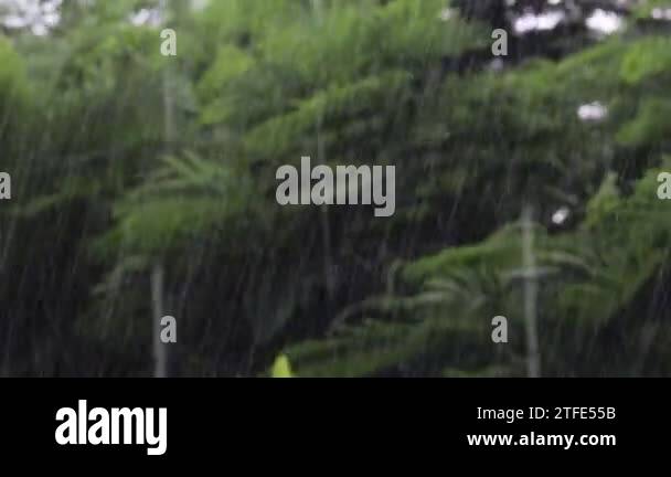 Close-up footage of defocused Rain water pouring down due to cyclonic ...