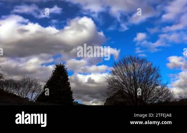 nice sky heavy shot with the tops of some trees and a building across ...
