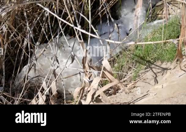 Polluted water channel Stock Videos & Footage - HD and 4K Video Clips ...