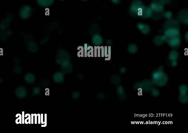 Abstract loop animation blurred blue bokeh bubble particles glow floating on black background ...