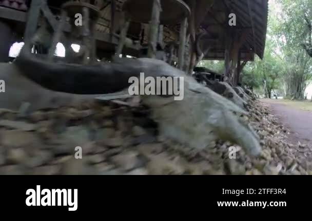 Skeleton lying on ground Stock Videos & Footage - HD and 4K Video Clips ...