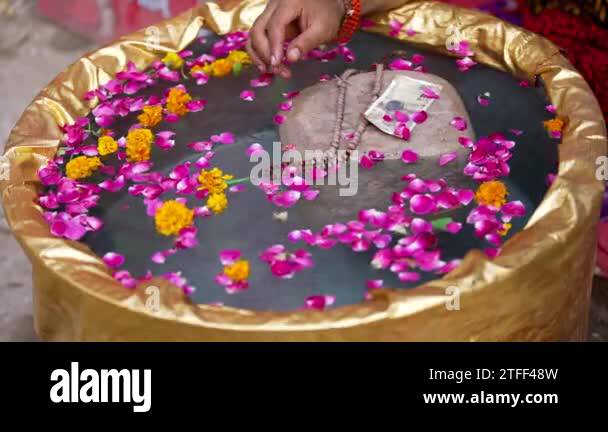 Floating rock worshipped symbol in Hindu mythology, rose petals ...