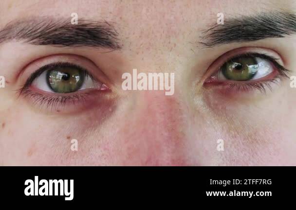 Collage of Eyes Beautiful People of Different Ages Close up. Humans ...