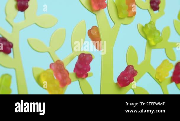 Jelly tree Stock Videos & Footage - HD and 4K Video Clips - Alamy
