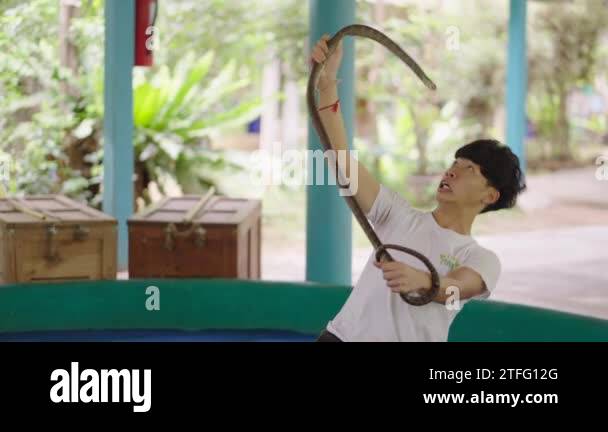 Chiang Mai Snake Show - Thai man handler performing with water snake ...