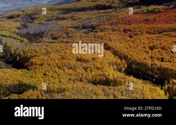 The colorful changing tree colors of Norther Utah. The yellow trees ...