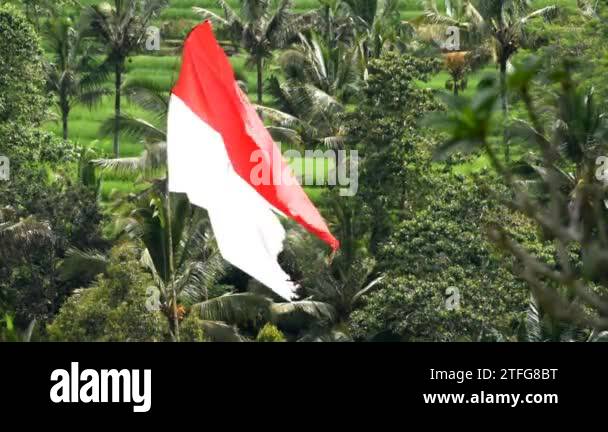 Indonesian Flag,Red and White color,( Bendera Merah Putih),Indonesian ...