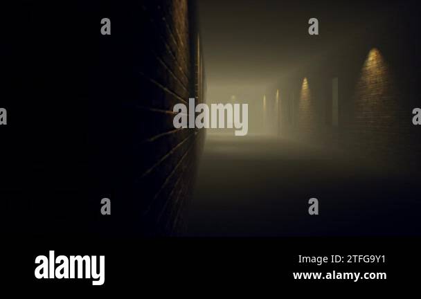 Camera moves from one side to another dim light shot of brick walls ...