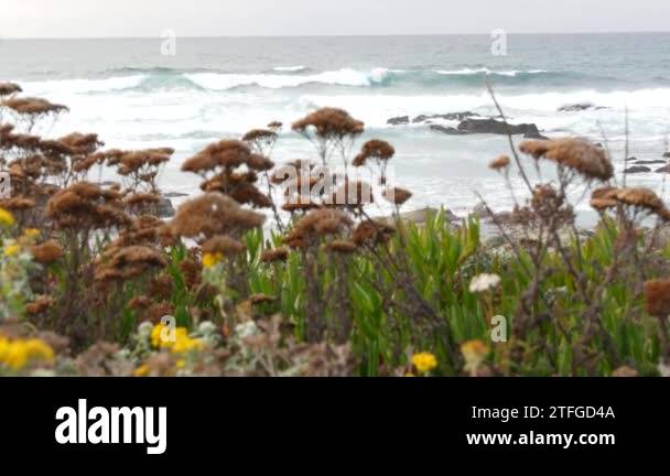 17-mile drive, Monterey, California USA. Rocky craggy ocean, sea water waves. Pacific coast ...