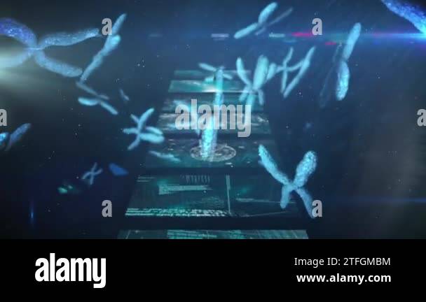 Illustration of human chromosomes Stock Videos & Footage - HD and 4K ...