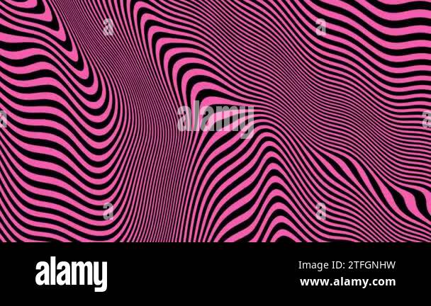 Psychedelic waving pink and black stripes motion background. Looping ...