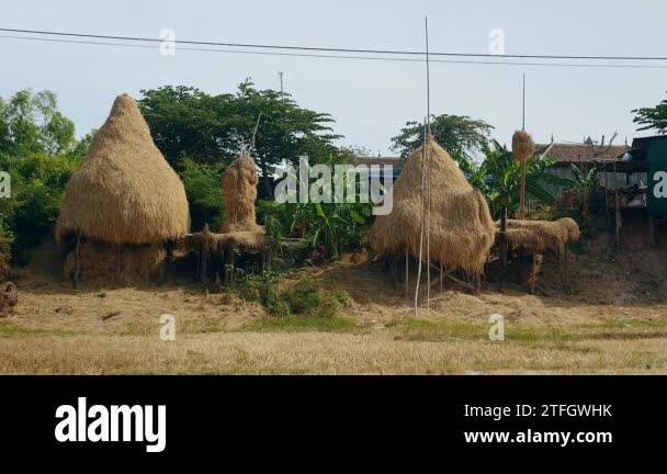 Farmland plots Stock Videos & Footage - HD and 4K Video Clips - Alamy