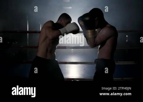 Two muscular mixed martial arts athletes fighting in the ring Stock ...