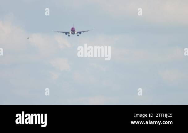 Airplane bird silhouette flying Stock Videos & Footage - HD and 4K ...