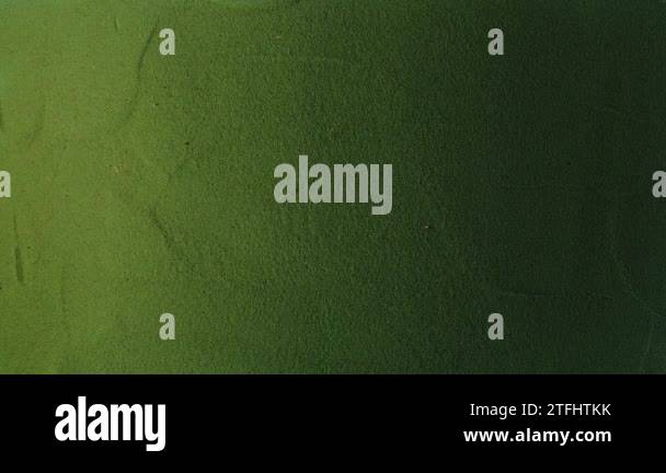 Hand drawing Number One 1 Symbol in the Green Sand. Male hand writes a ...