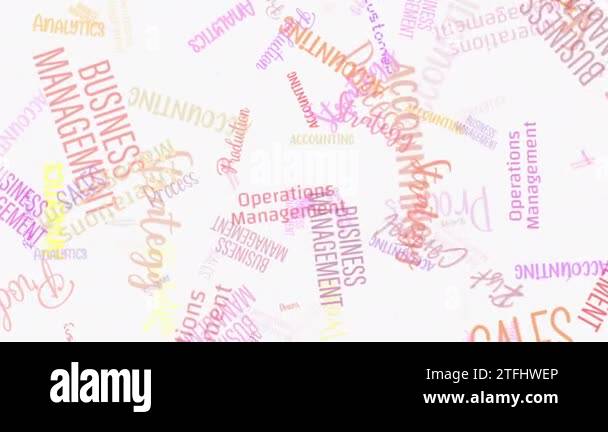 Many color Text of Business Management related word typing fly motion ...