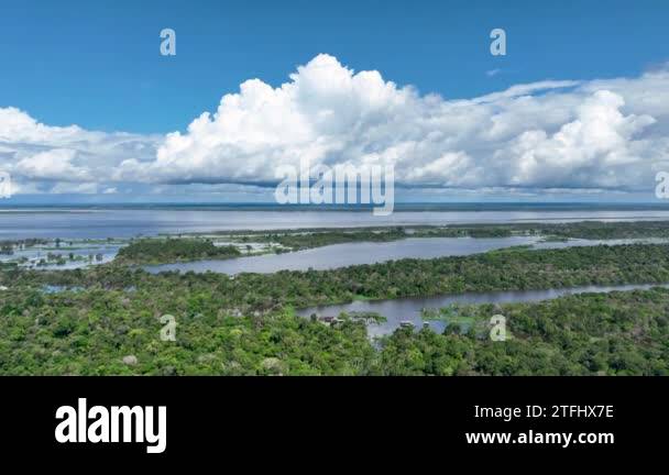 Nature aerial view of Amazon forest at Amazonas Brazil. Mangrove forest ...