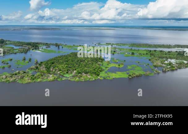 Amazon River at Amazon Forest. The famous tropical forest of world ...