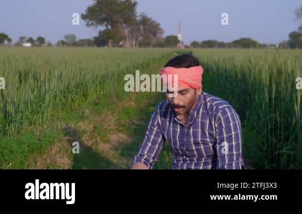 A sick bearded farmer in traditional clothes coughing with one hand on ...