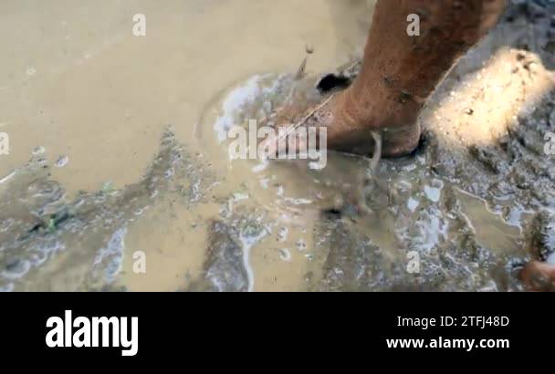 Child feet stepping into mud, foot standing in wet dirt Stock Video ...