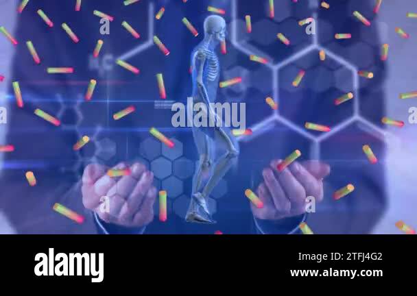 Human body model science Stock Videos & Footage - HD and 4K Video Clips ...