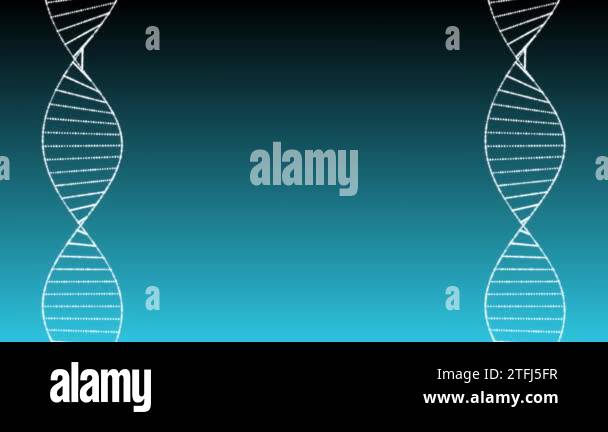 Digital animation of DNA rotating on screen. DNA video for medical ...