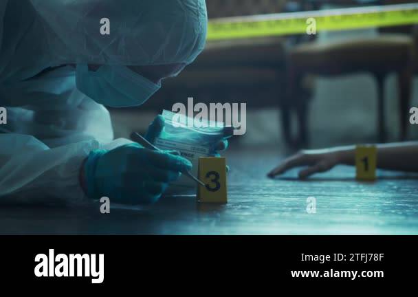 Detective Collecting Evidence in a Crime Scene. Forensic Specialists ...