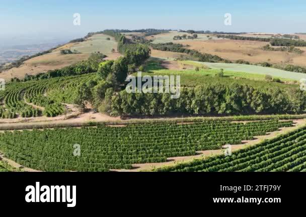 Farm land farmland farming Stock Videos & Footage - HD and 4K Video ...