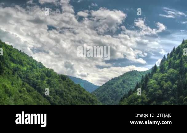 8K 7680X4320.Air movements in the densely forested valley.Time lapse in ...