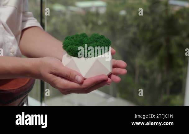 Eco plaster Stock Videos & Footage - HD and 4K Video Clips - Alamy