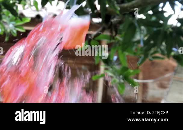 Break the plastic filled with color water slow motion. hitting ...