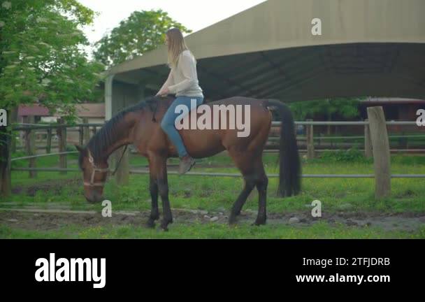 Learn horse riding Stock Videos & Footage - HD and 4K Video Clips - Alamy