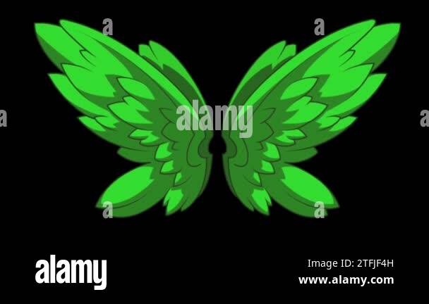 Animation green butterfly wing fantasy style on black background Stock ...