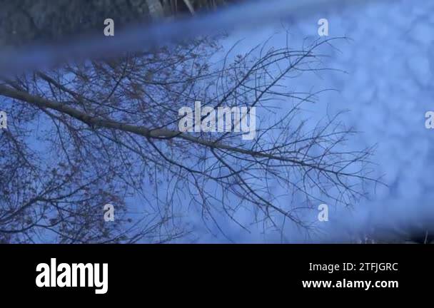 abstract video background from a collage on the theme of nature ...