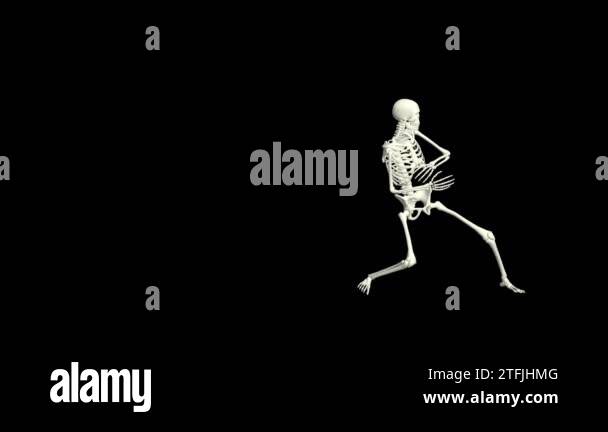 Dancing Skeleton 3D.3D Skeleton Dance Animation.Skeleton 3D dance Stock ...