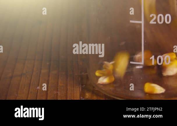 Corn measure Stock Videos & Footage - HD and 4K Video Clips - Alamy