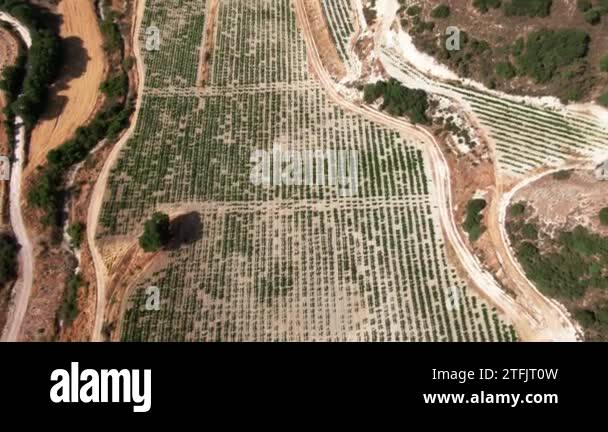 Cyprus agriculture Stock Videos & Footage - HD and 4K Video Clips - Alamy